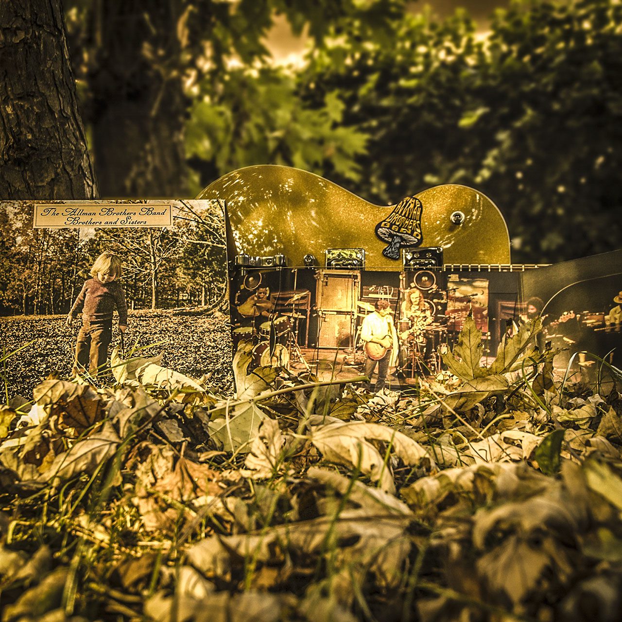 The Allman Brothers Band – Brothers And Sisters | Super Deluxe Edition ...